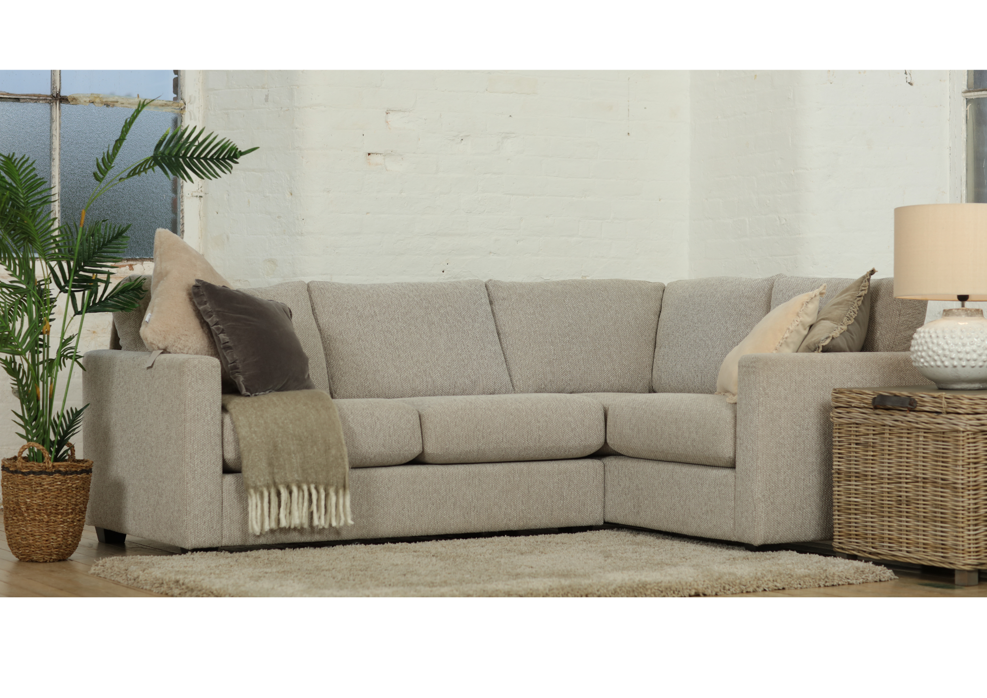 Chloe Sofa Collection - Elgin Whisper – Homebird Furniture